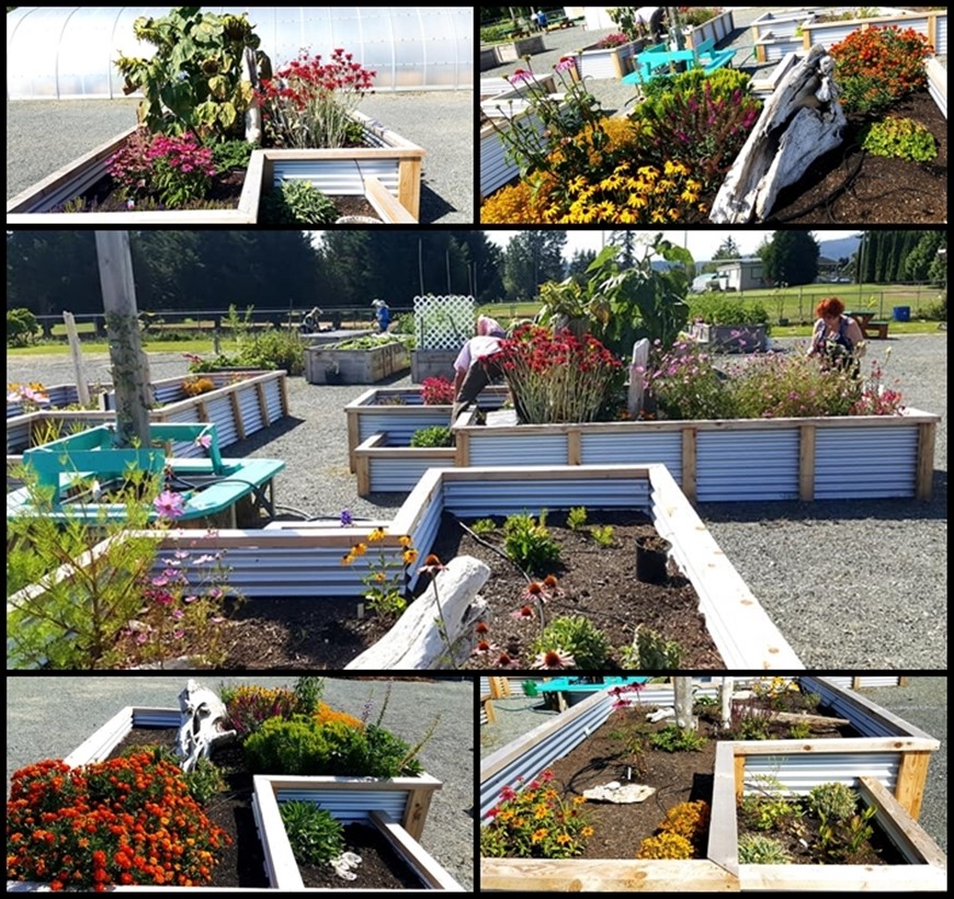 Our Pollinator Garden – Nanaimo Community Gardens Society